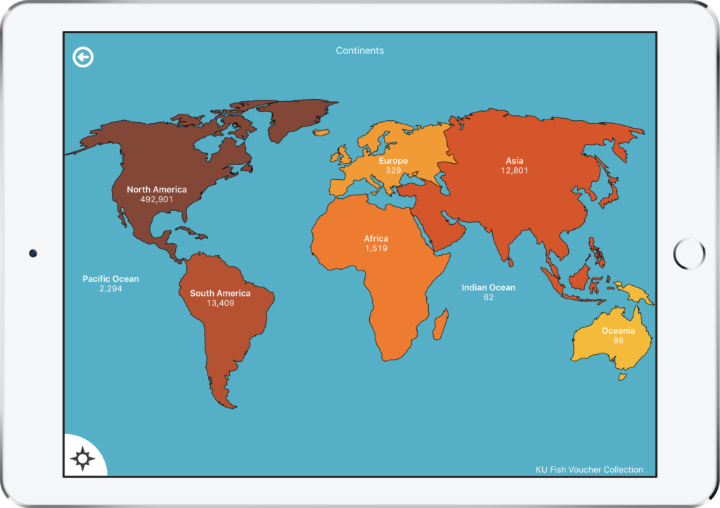 Insight | Specify Collections Consortium