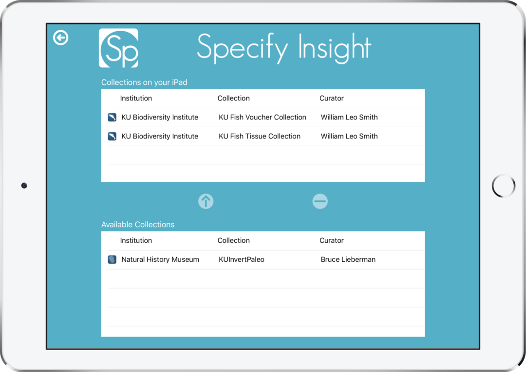 Insight | Specify Collections Consortium