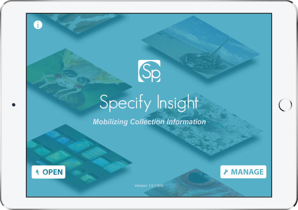 Insight | Specify Collections Consortium